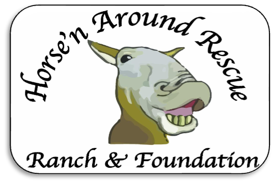 Home | Horse'n Around Rescue